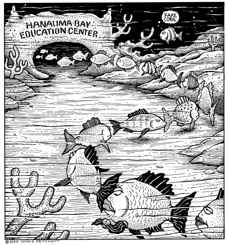 Hanauma Bay, Hawaii cartoon, Education Center for the fish, Jeremy ...